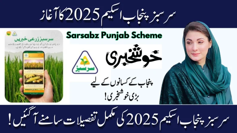 CM Punjab E-Bike Scheme 2025 Apply Now for Free Student Bike